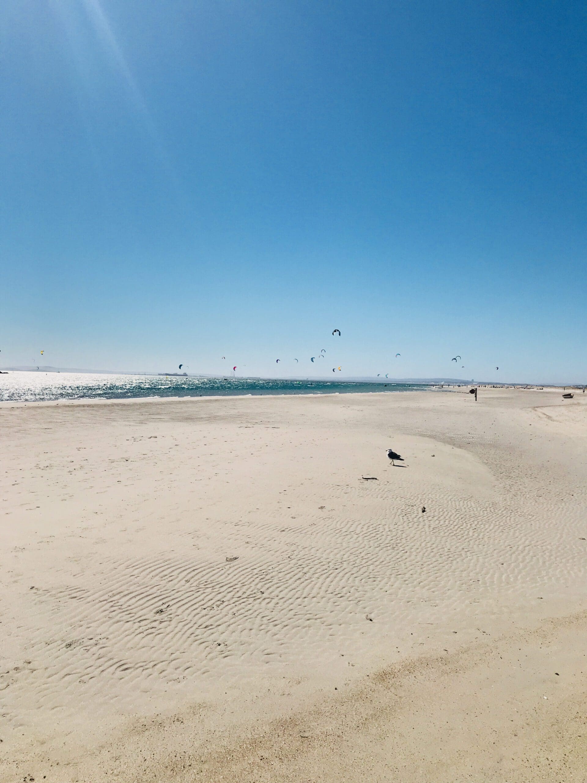 What to do in Langebaan, Insider Interview